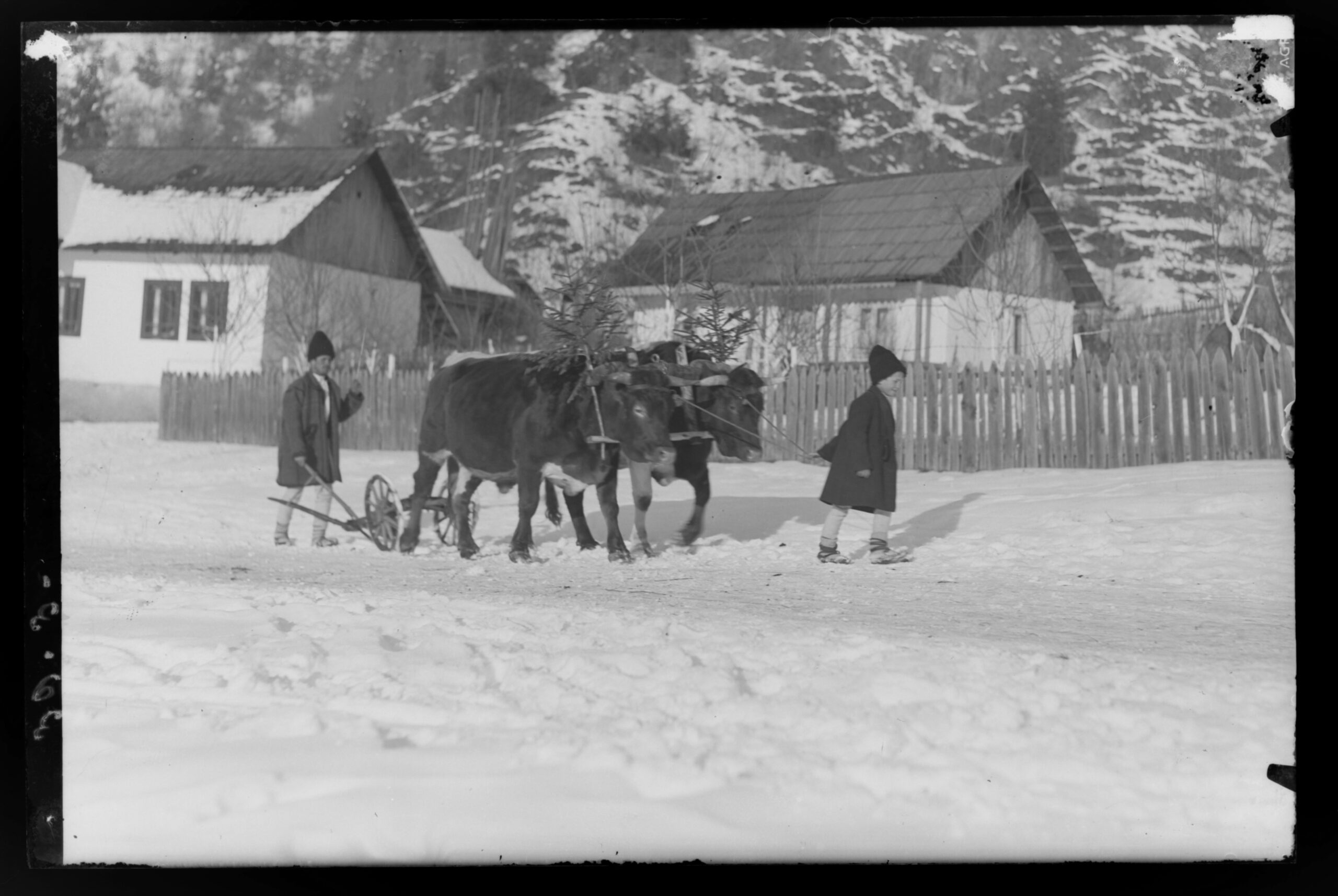 Cu pluguşorul - iMAGO Romaniae